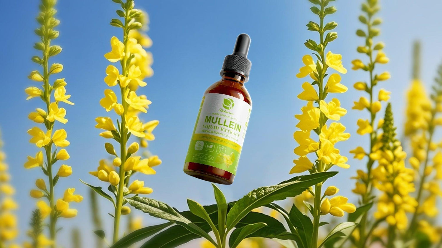 Optimize Your Brain Health with Lukaree | Natural Cognitive & Wellnes.